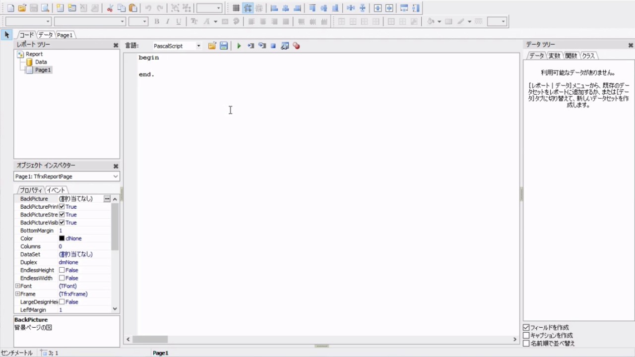 FastReportでScriptを使うための概要 | FastReport-Info